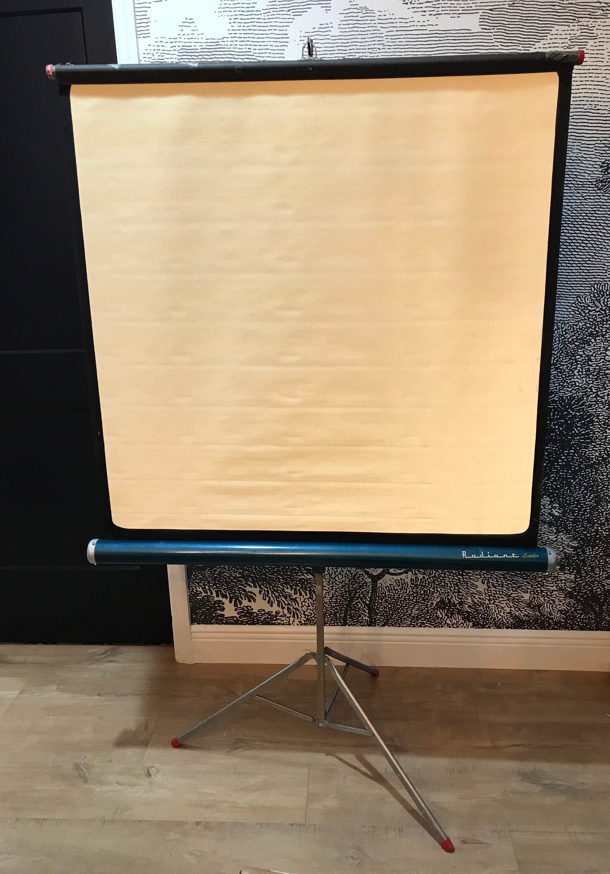 Slide Projector Screen