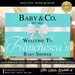 Baby & Co Pink Welcome Poster Printable Personalized Backdrop Banner ...