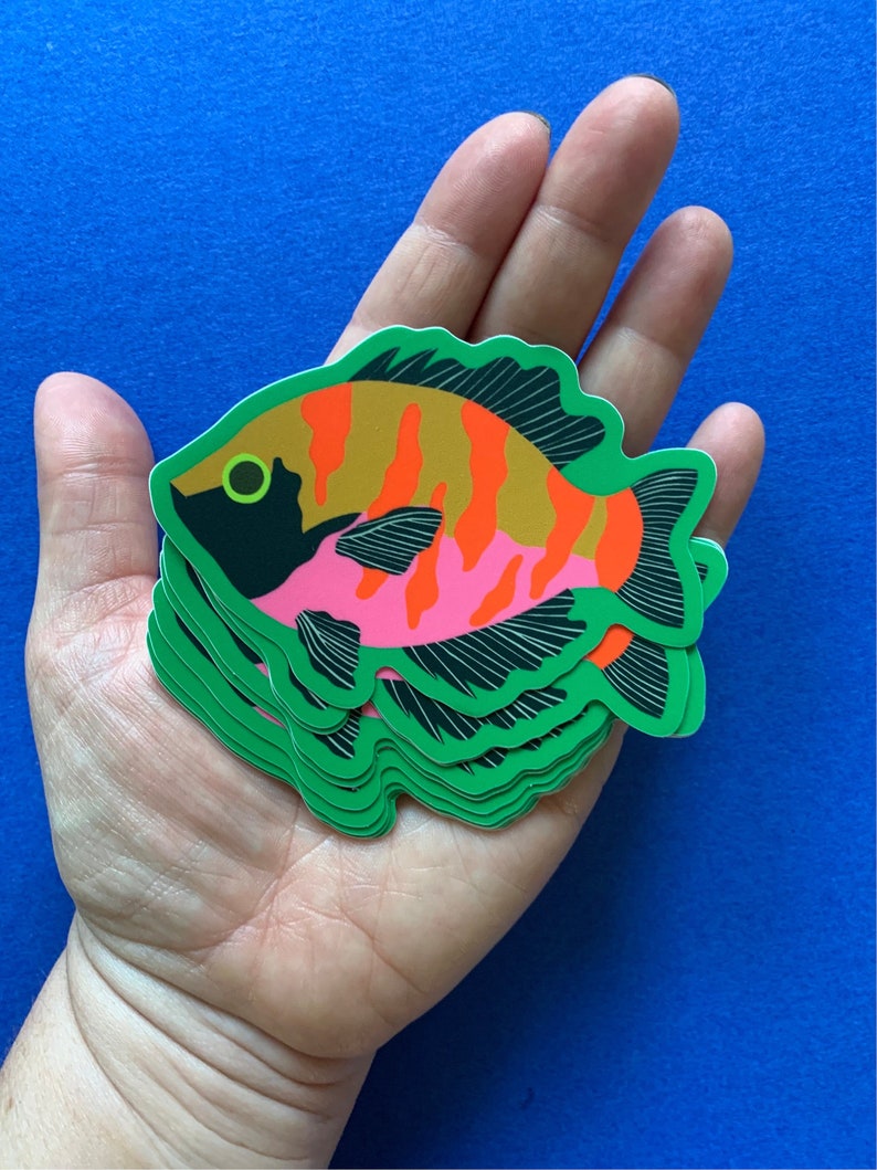 Bluegill Vinyl Sticker - Etsy