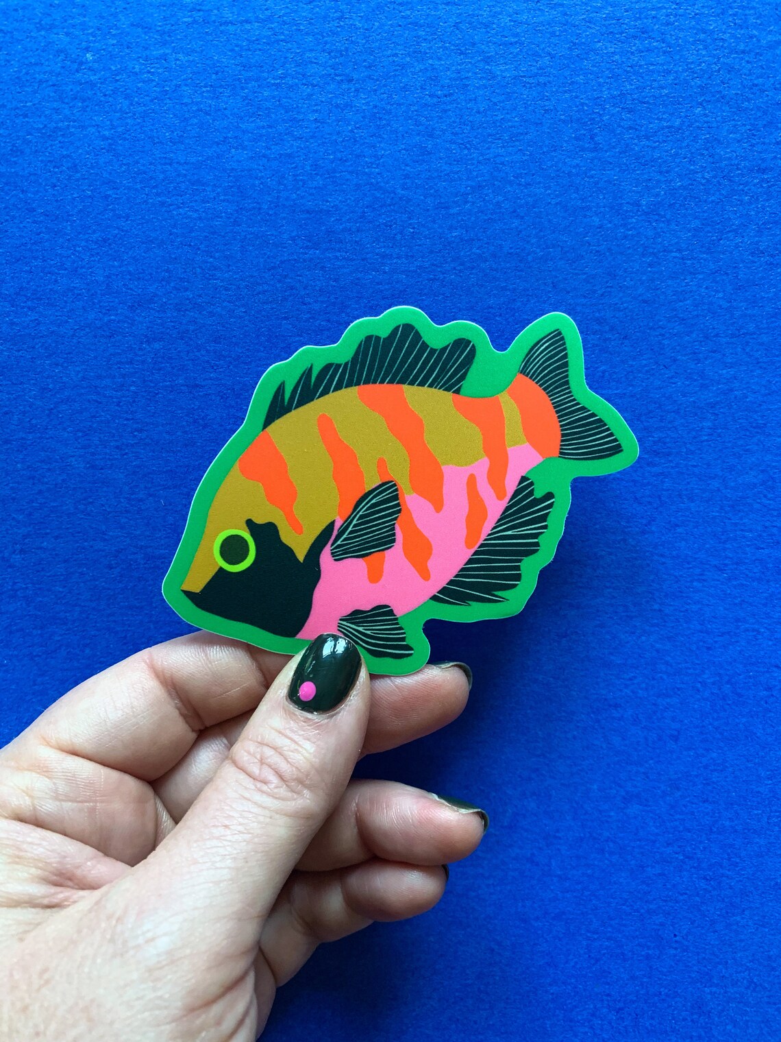 Bluegill Vinyl Sticker - Etsy