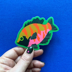 Bluegill Vinyl Sticker - Etsy