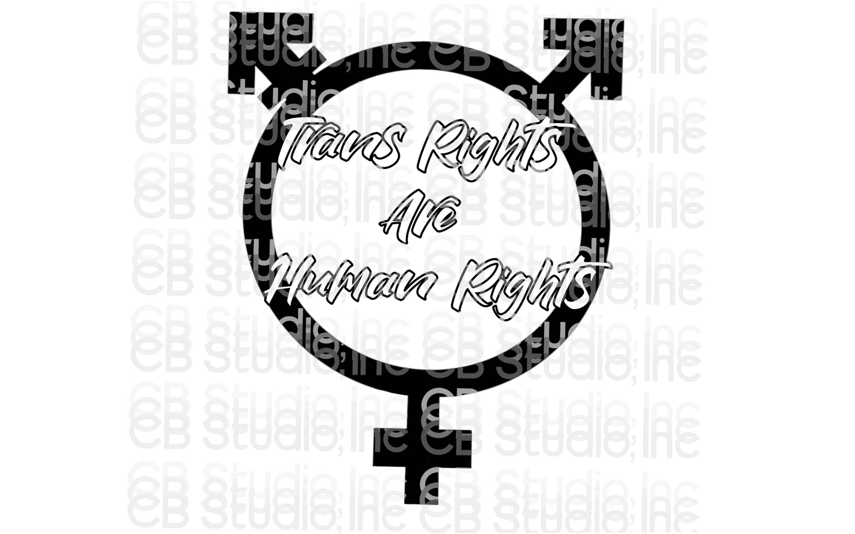 Trans Rights Are Human Rights SVG & PNG Digital Download - Etsy