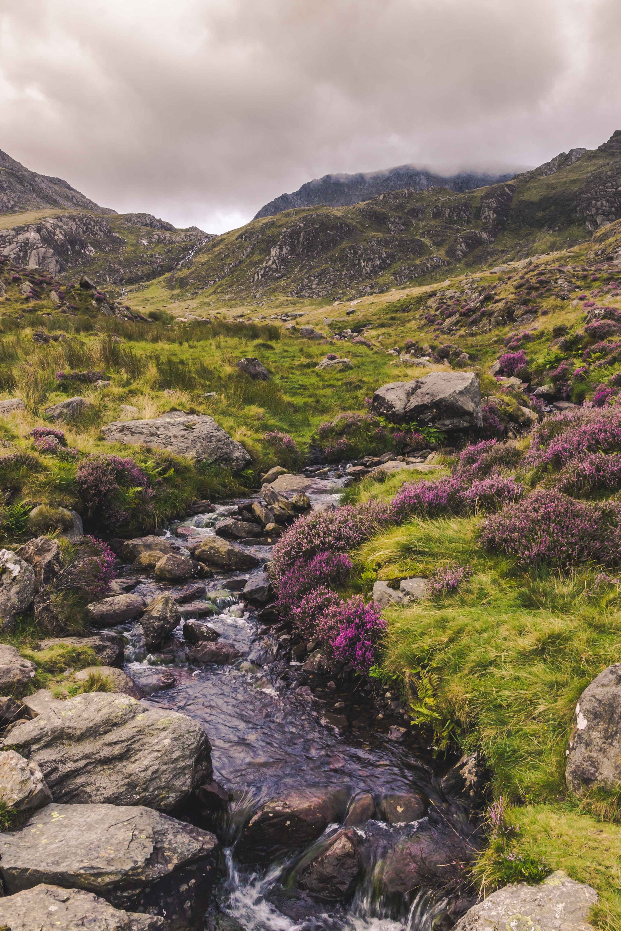 Snowdonia Canvas - Cwm Idwal Llyn Idwal Ogwen Valley Heather - North ...