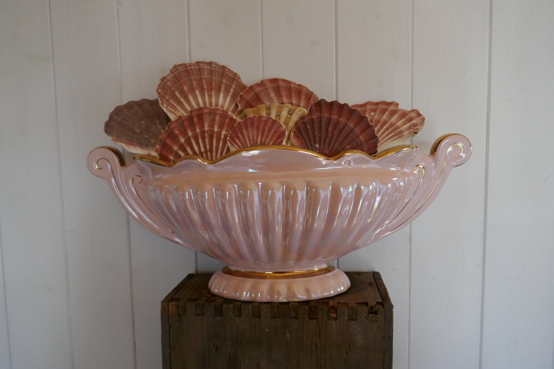 Vintage Bulb Planter - Vintage Planter - Vintage Shell Planter - Indoor ...