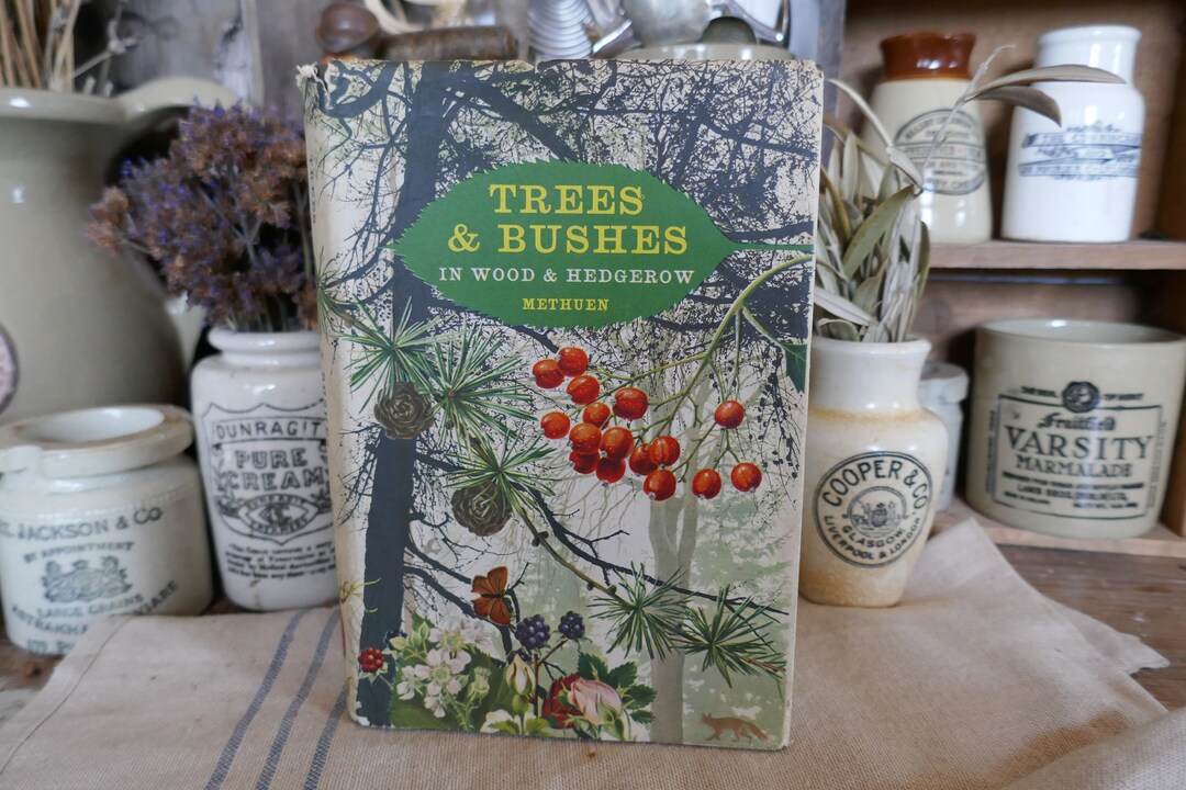 Vintage Nature Book - Trees Nature Book - Vintage Tree Book - Coffee ...