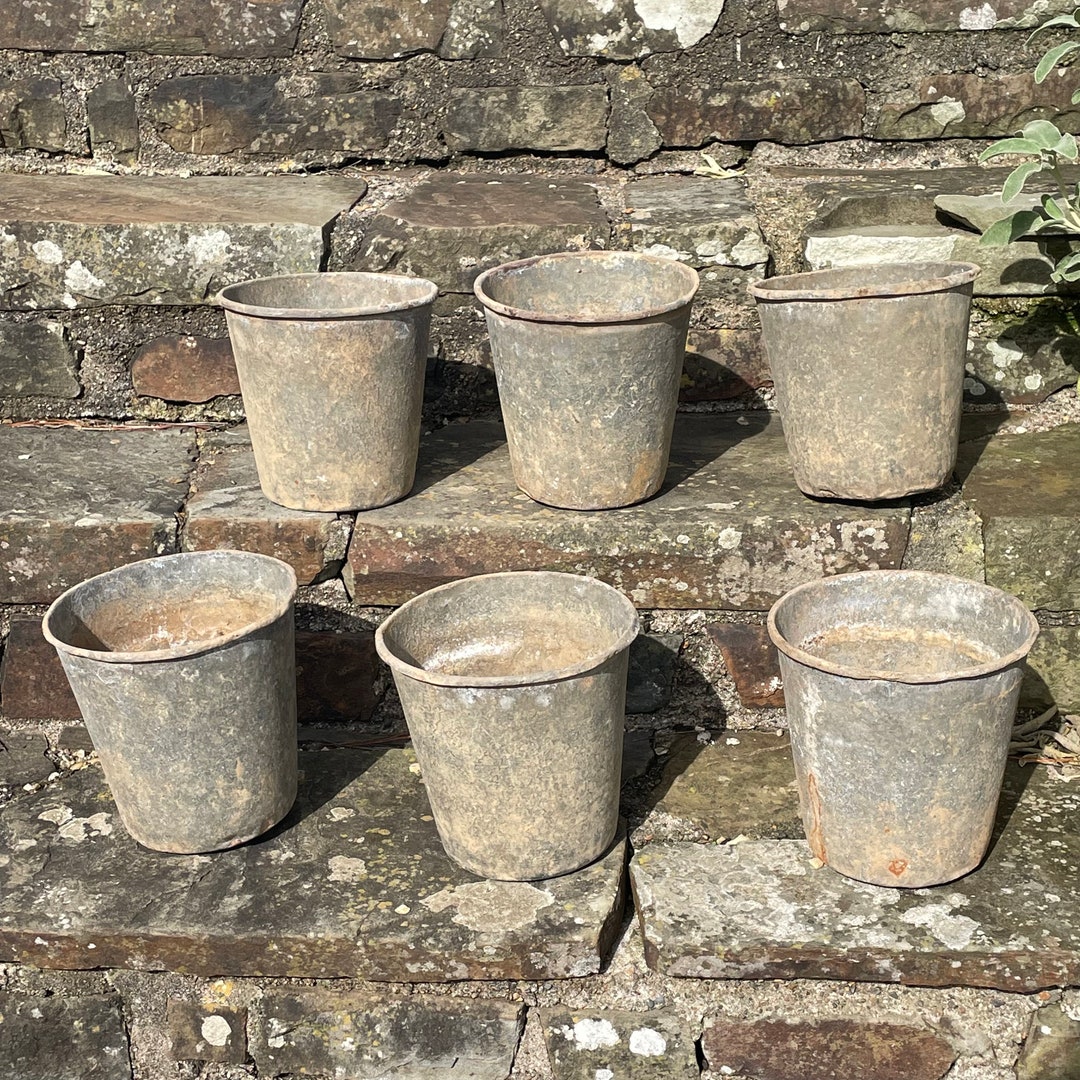 Rustic Zinc Flower Bucket - Vintage Metal Garden Planter - Vintage ...
