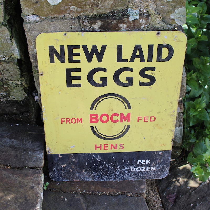 Vintage Egg Sign - Etsy