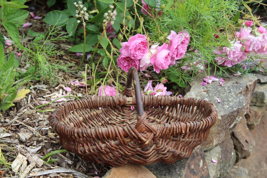 Vintage French Trug Basket, Wooden Trug Basket, Vintage Basket, French ...