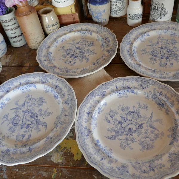 Antique Blue Plates - Etsy