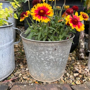 Rustic Zinc Flower Bucket Vintage Metal Garden Planter Vintage ...