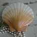 Rare Michel Caugant French Vintage Clam Terrine Clam Shell - Etsy