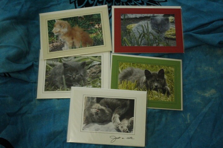 Photo Notecards - Etsy