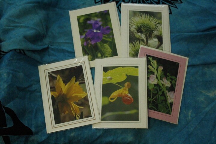 Photo Notecards - Etsy