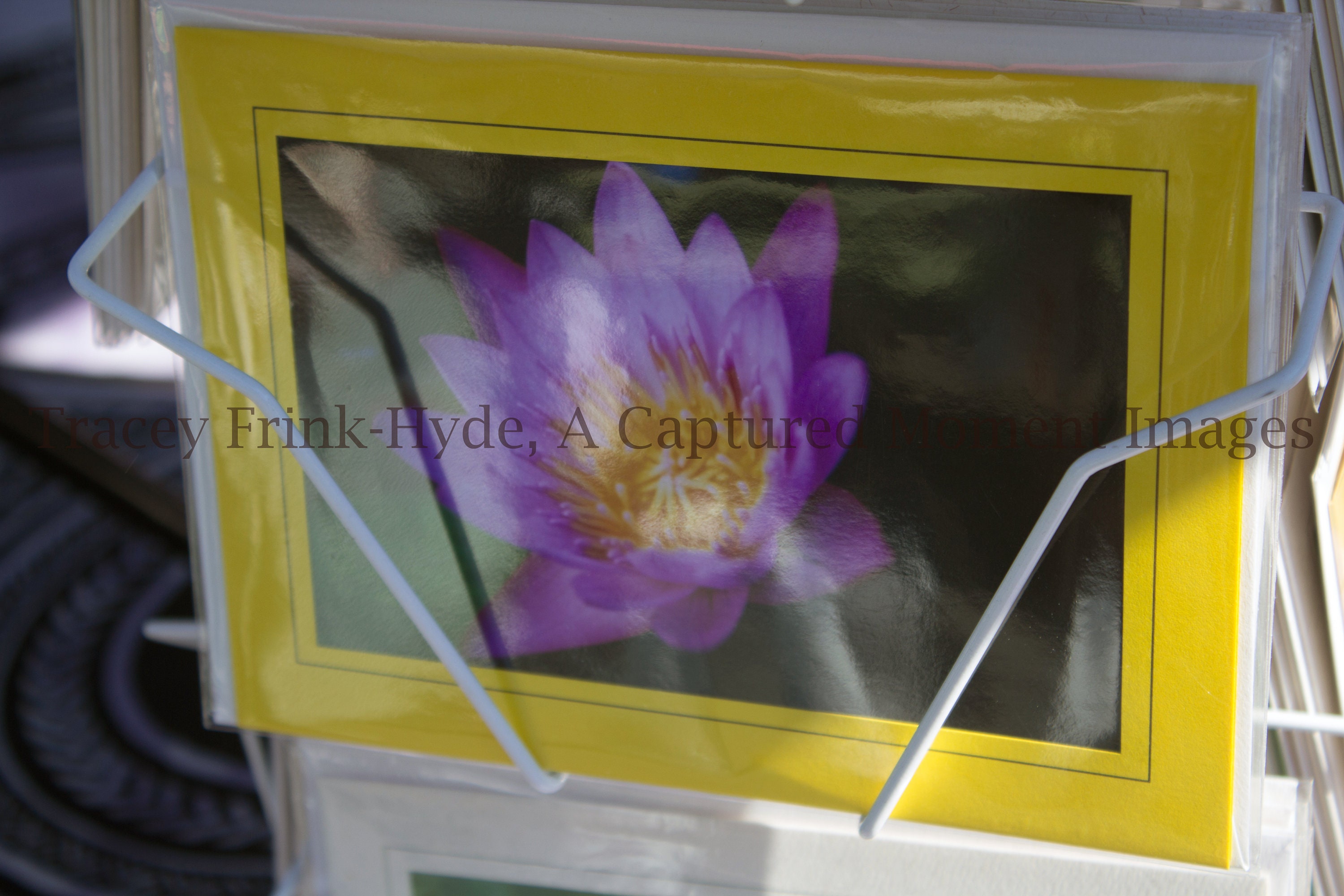 Photo Notecards - Etsy