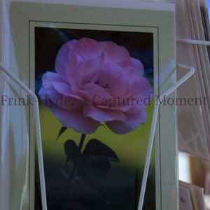 Photo Notecards - Etsy