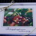 Photo Notecards - Etsy