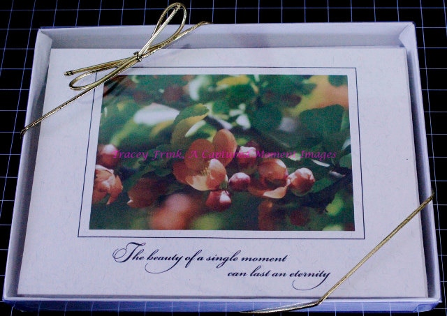 Photo Notecards - Etsy