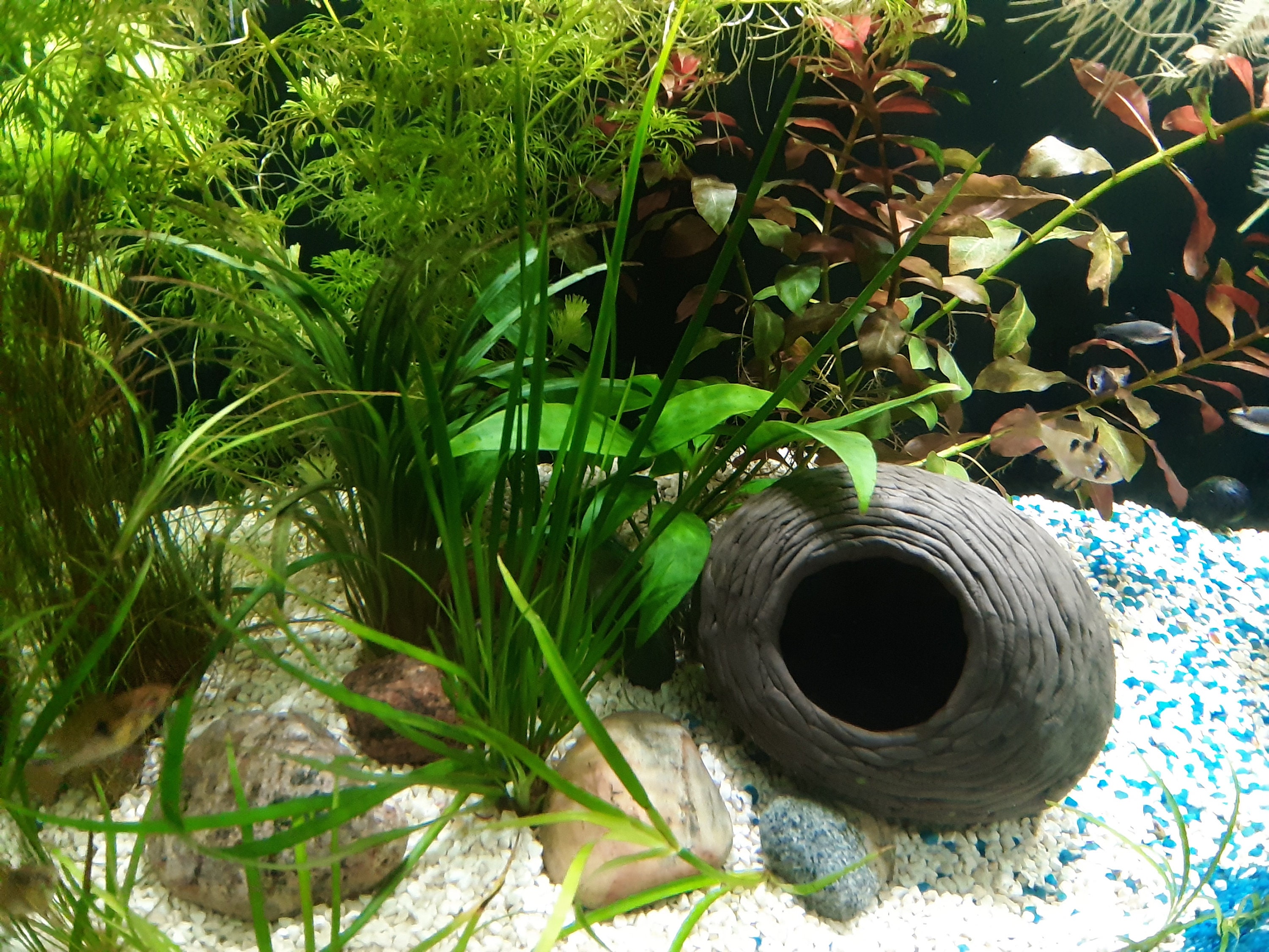 Handcrafted Ceramic Aquarium Cave Fish Hideout, Breeding Shelter ...