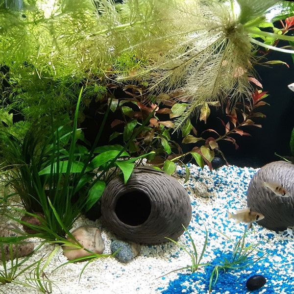 Aquarium Cave - Etsy