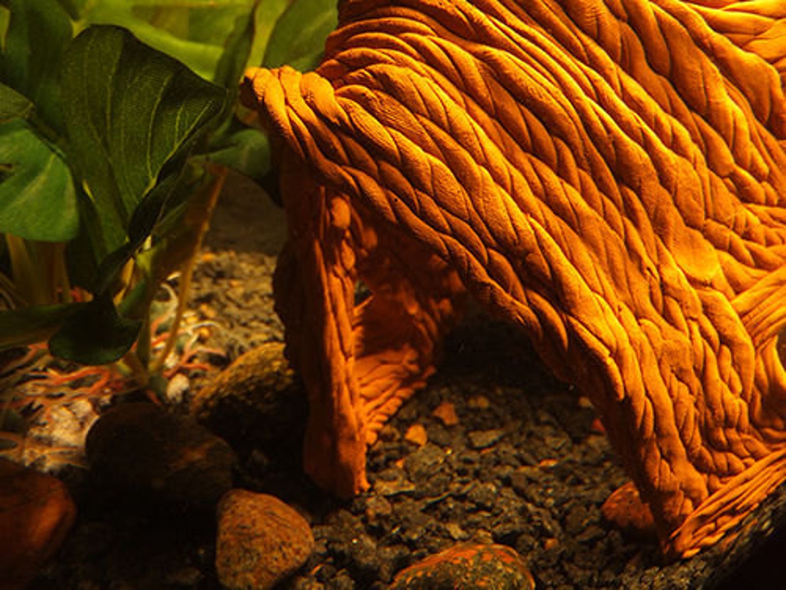 Nature-like Ceramic Rockery Fish Tank Ornament Detailed Cave - Etsy UK