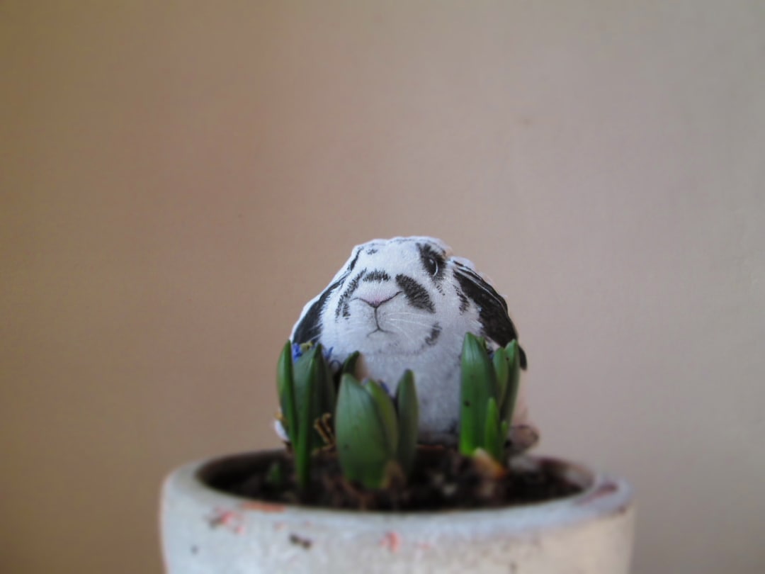 Stuffed Bunny Rabbit Shaped Plush Fabric Soft Toy Gift Idea Easter ...