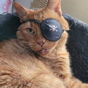 Pirate Eye Patch for CATS 100 % Cotton/ No Felt - Etsy