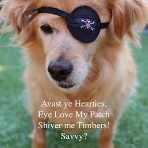 Custom Eye Patch for Dogs or Cats 100 % Cotton/ No Felt - Etsy