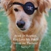 Custom Eye Patch for Dogs or Cats 100 % Cotton/ No Felt - Etsy
