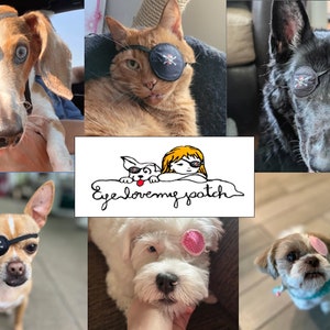 Eye Patch for DOGS 100 % Cotton/ No Felt - Etsy