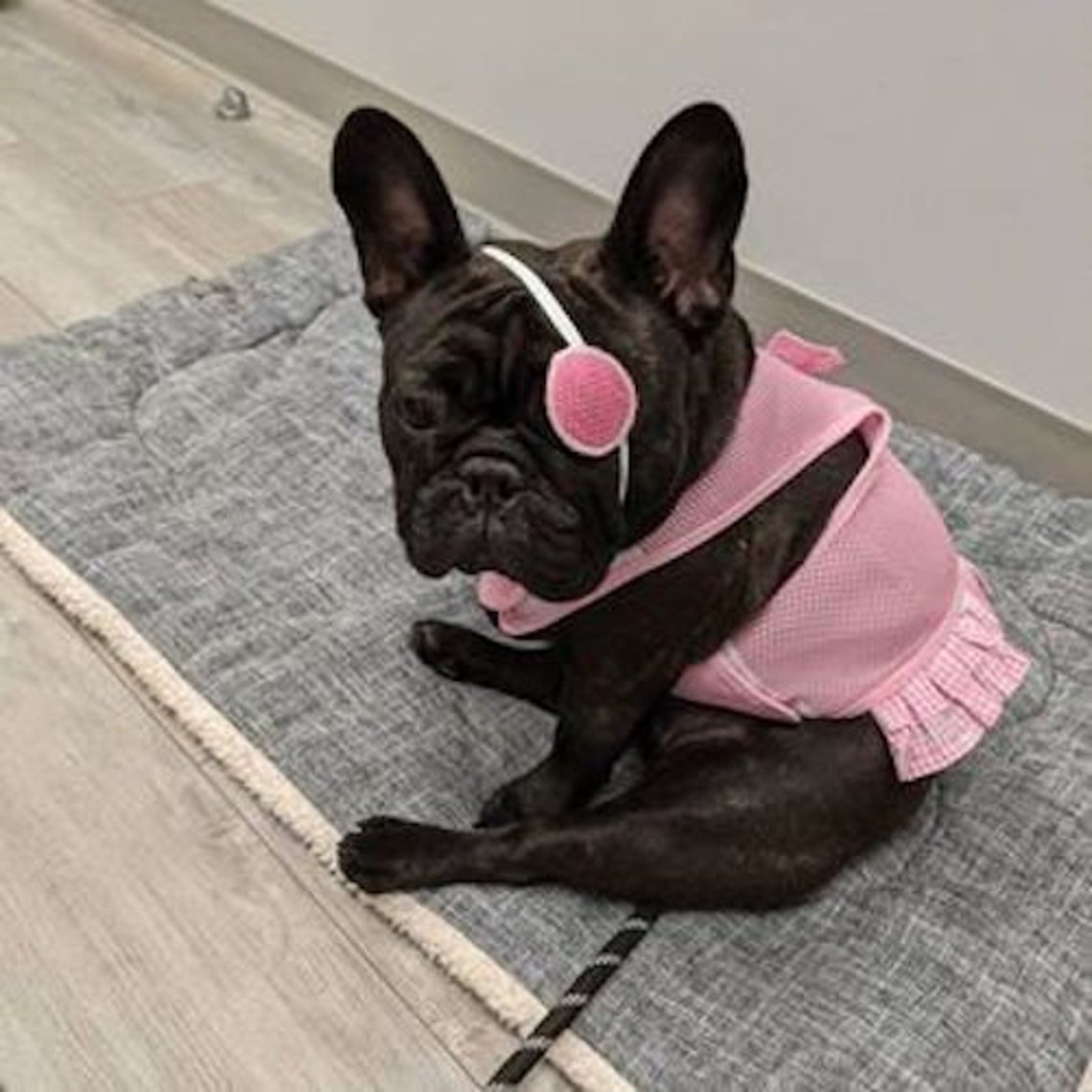 Eye Patch for DOGS 100 % Cotton/ No Felt - Etsy
