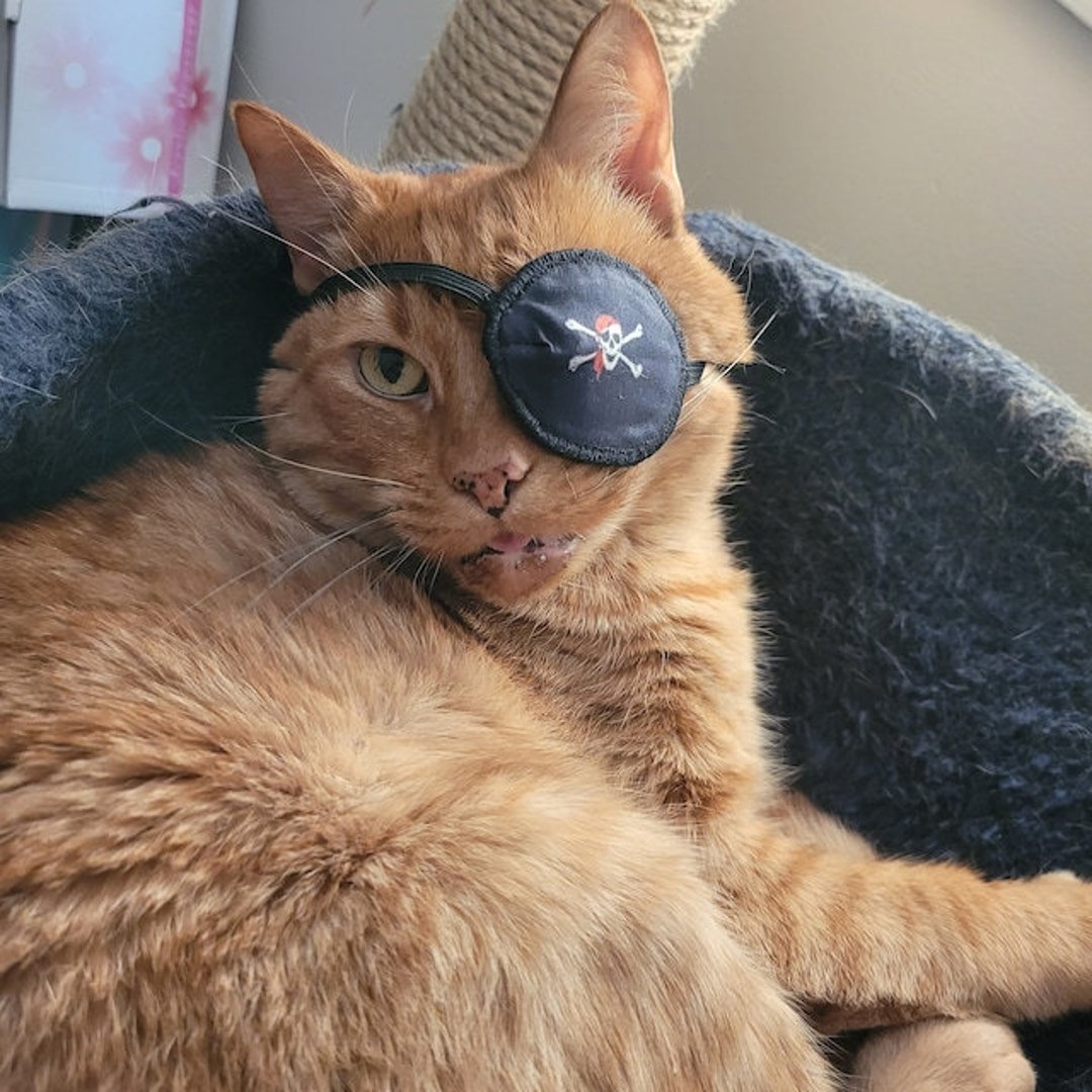 CAT Eye Patch- Cotton Fabric Custom Designs - Etsy