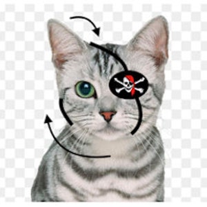Custom Eye Patch for CATS Cotton Fabric NO Felt - Etsy