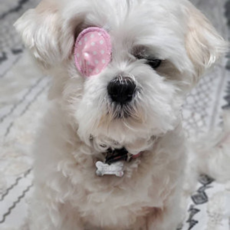 Dog Eye Patch Custom Made Cotton Fabric No Felt. - Etsy