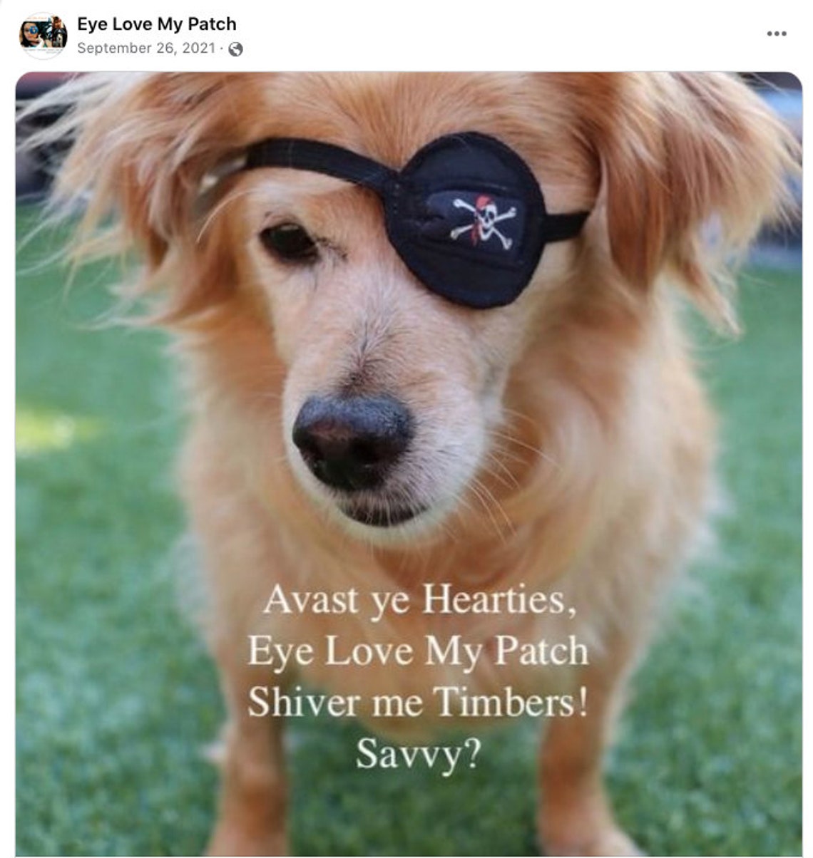 DOG Eye Patch Ccustom Sizes Cotton Fabric No Felt - Etsy