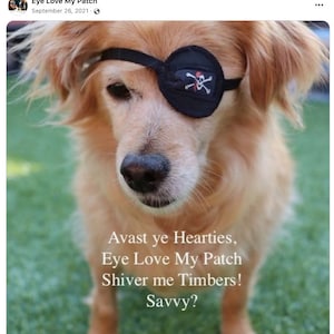 DOG Eye Patch Ccustom Sizes Cotton Fabric No Felt - Etsy