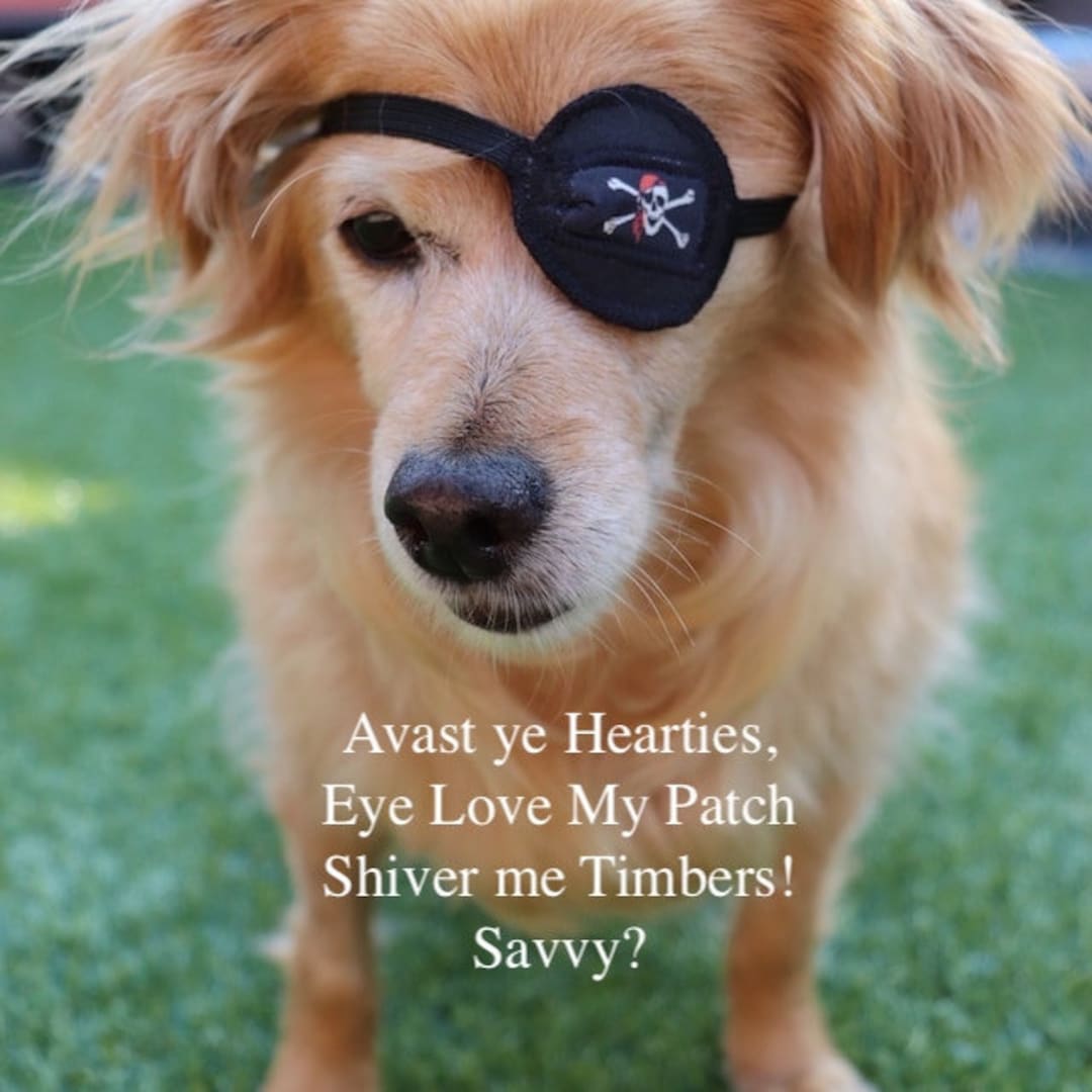 Dog Eye Patch Custom Made Cotton Fabric No Felt. - Etsy