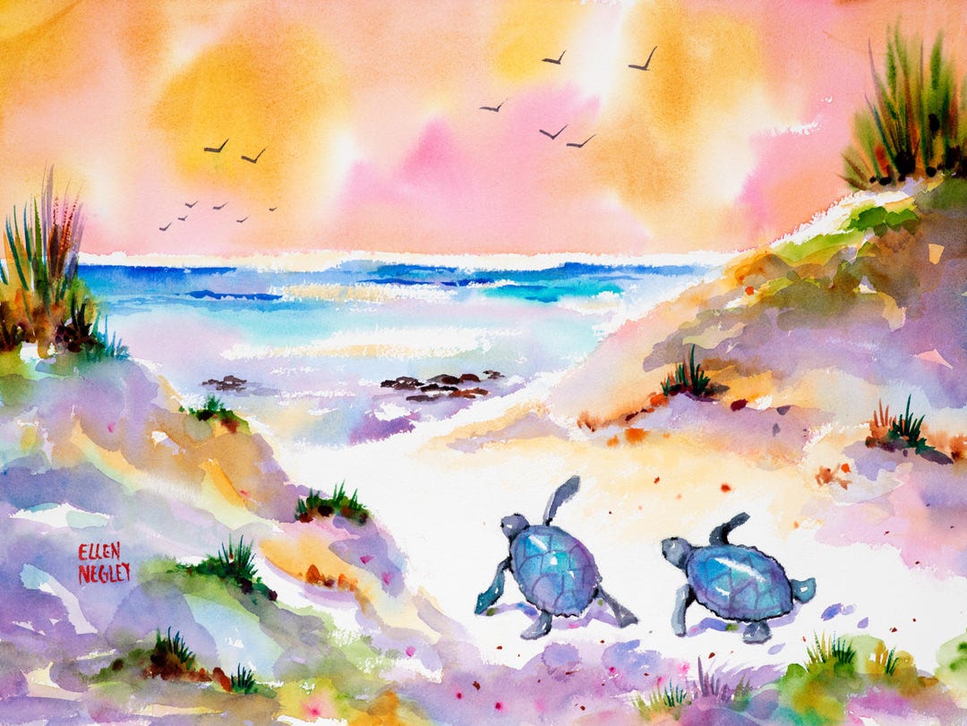 Turtle Original Watercolor, Turtle Painting, Loggerhead Turtle Art ...