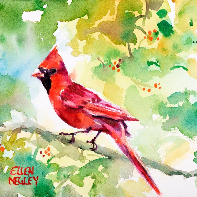 Cardinal Watercolor - Etsy