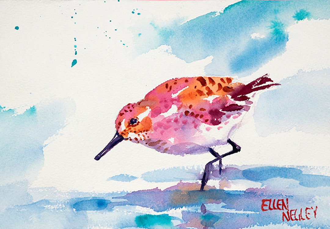 Original Sandpiper Watercolor, Bird Painting, ,florida Art, Tropical ...