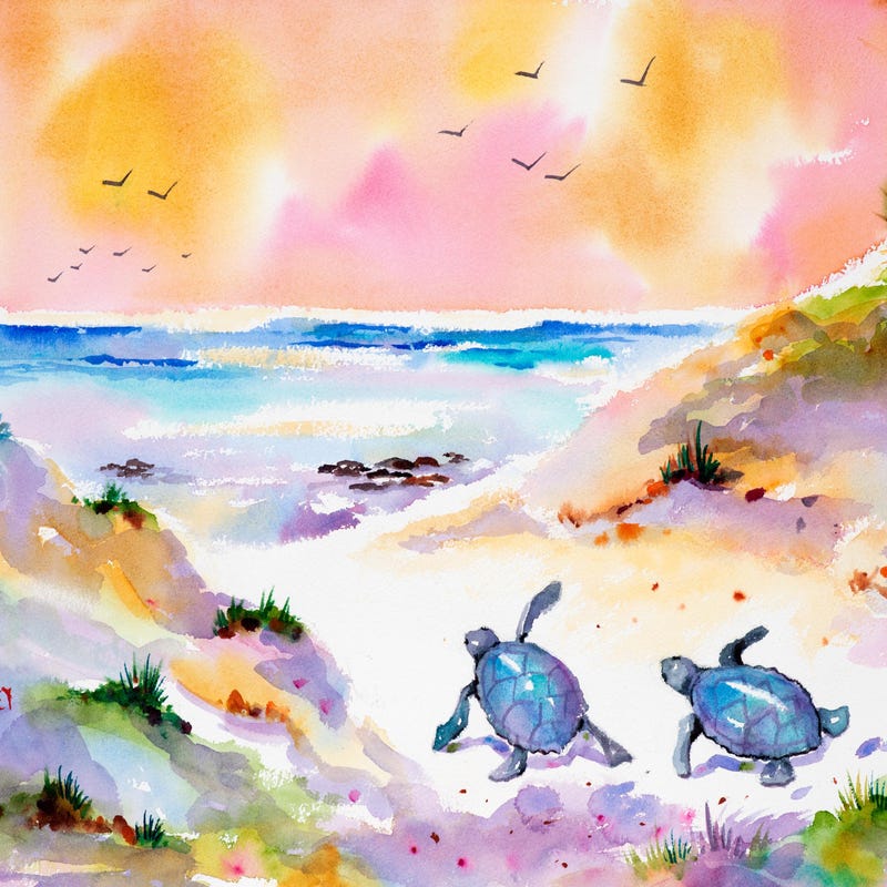 Florida Sea Turtle Art - Etsy