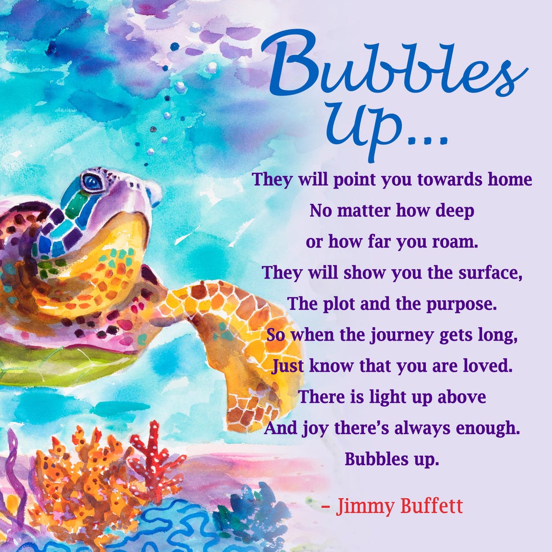 Jimmy Buffett Bubbles up Lyrics, Jimmy Buffett Wall Art, Jimmy Buffett Canvas, Parrot Head Art ...