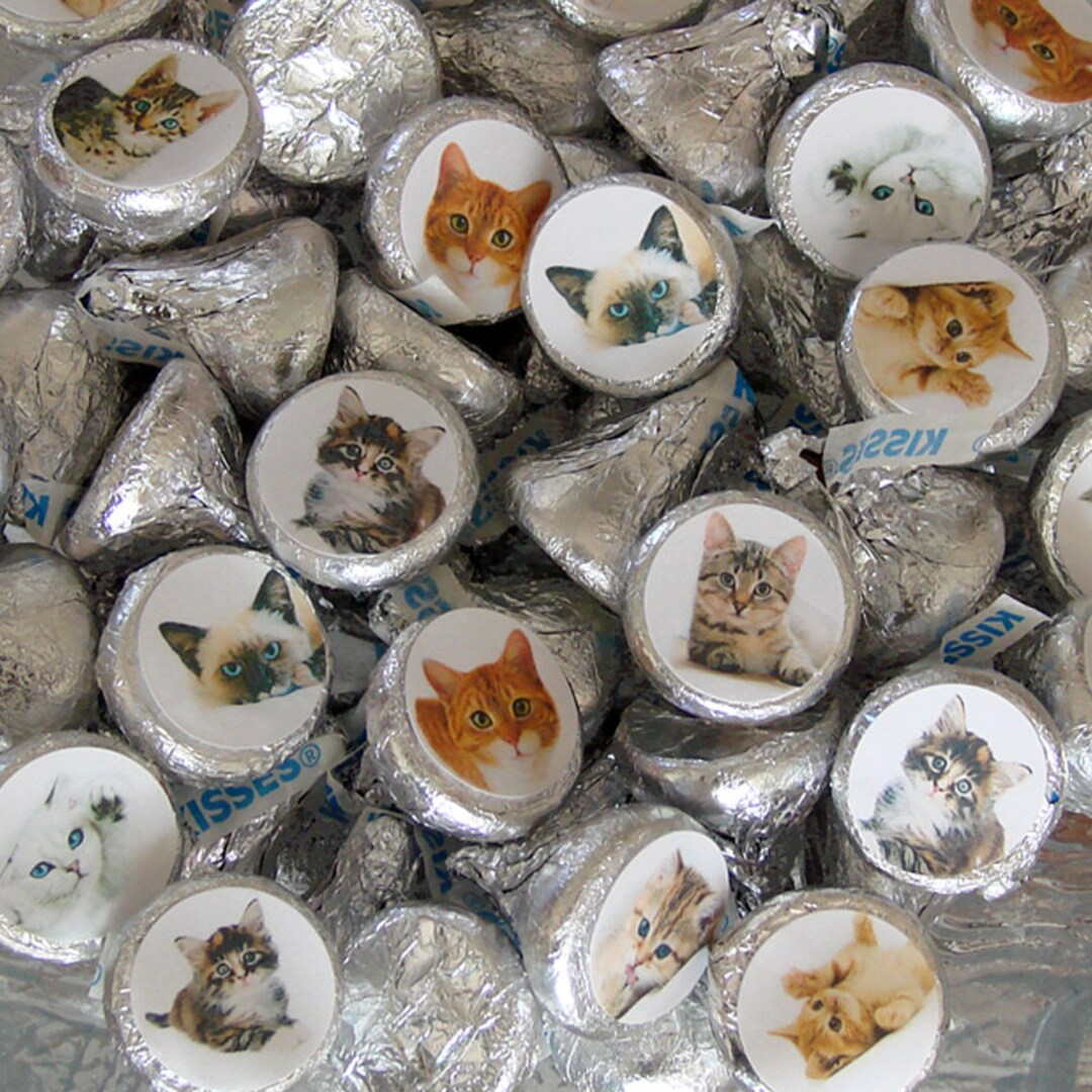 Cat Birthday, Kitty Party, Candy Labels, Kitten, Candy Stickers, Party ...