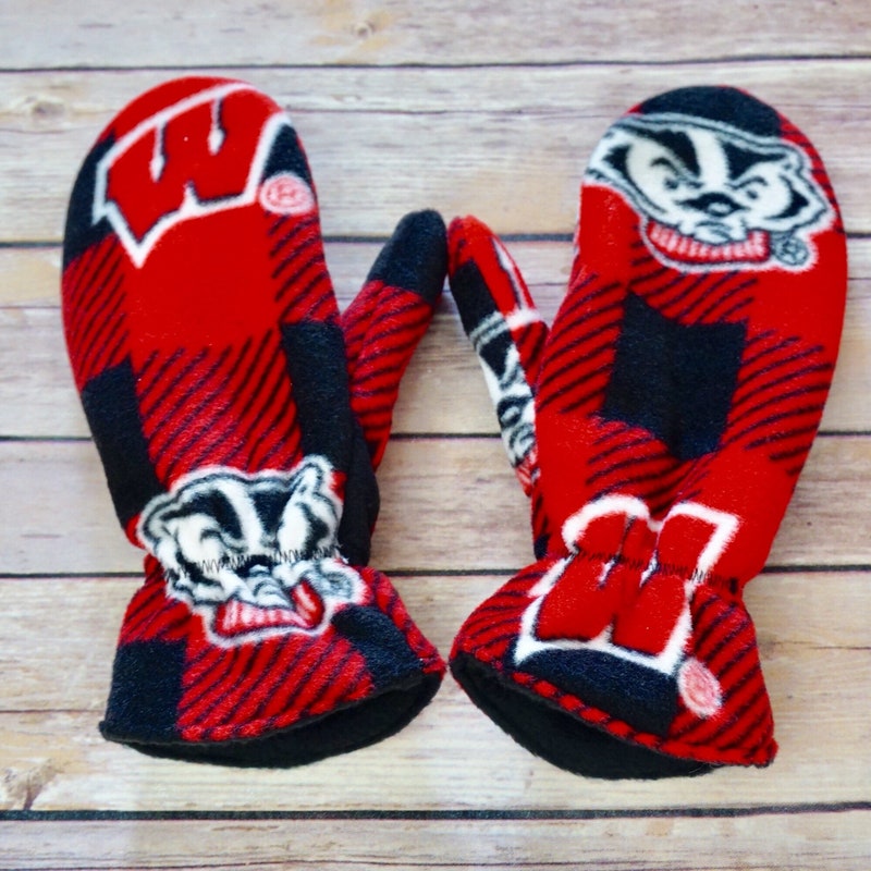 Wisconsin Badger - Etsy