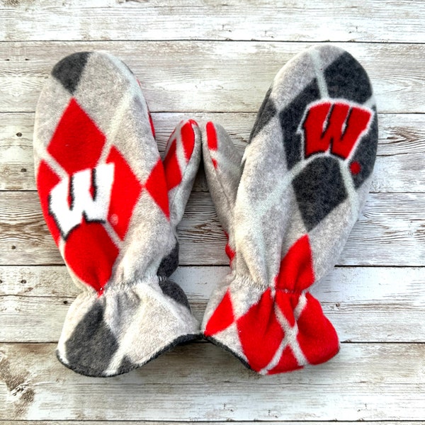 Wisconsin Badger - Etsy