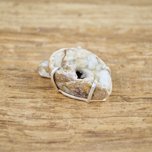 Sparkling Shiva Shell Pendant // Shell Jewelry // Fossil - Etsy