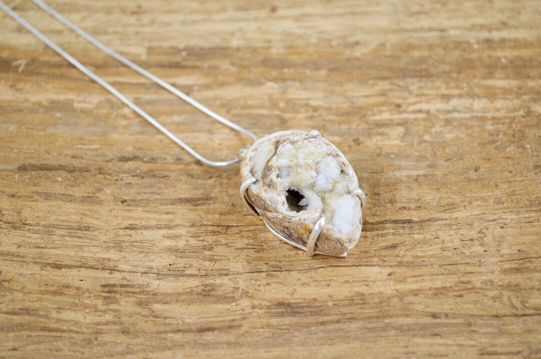 Sparkling Shiva Shell Pendant // Shell Jewelry // Fossil - Etsy