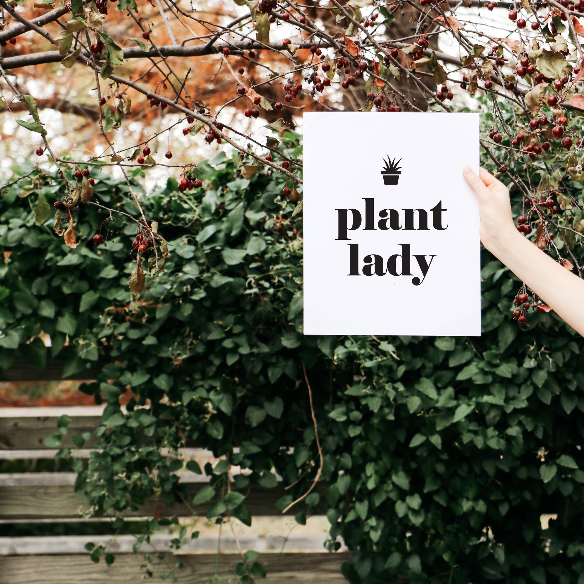 Plant Lady Print Gardening Gift Cactus Print Succulent | Etsy