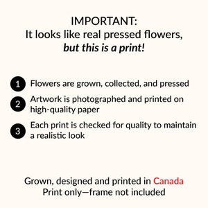 Pressed Flower Cat Print "carter" - Etsy