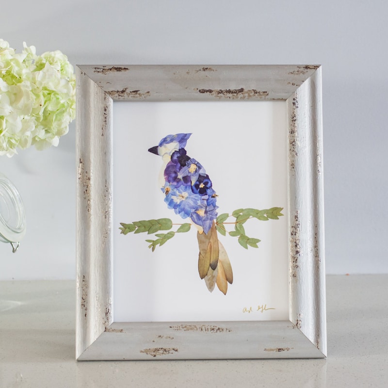 Blue Jay Print - Etsy