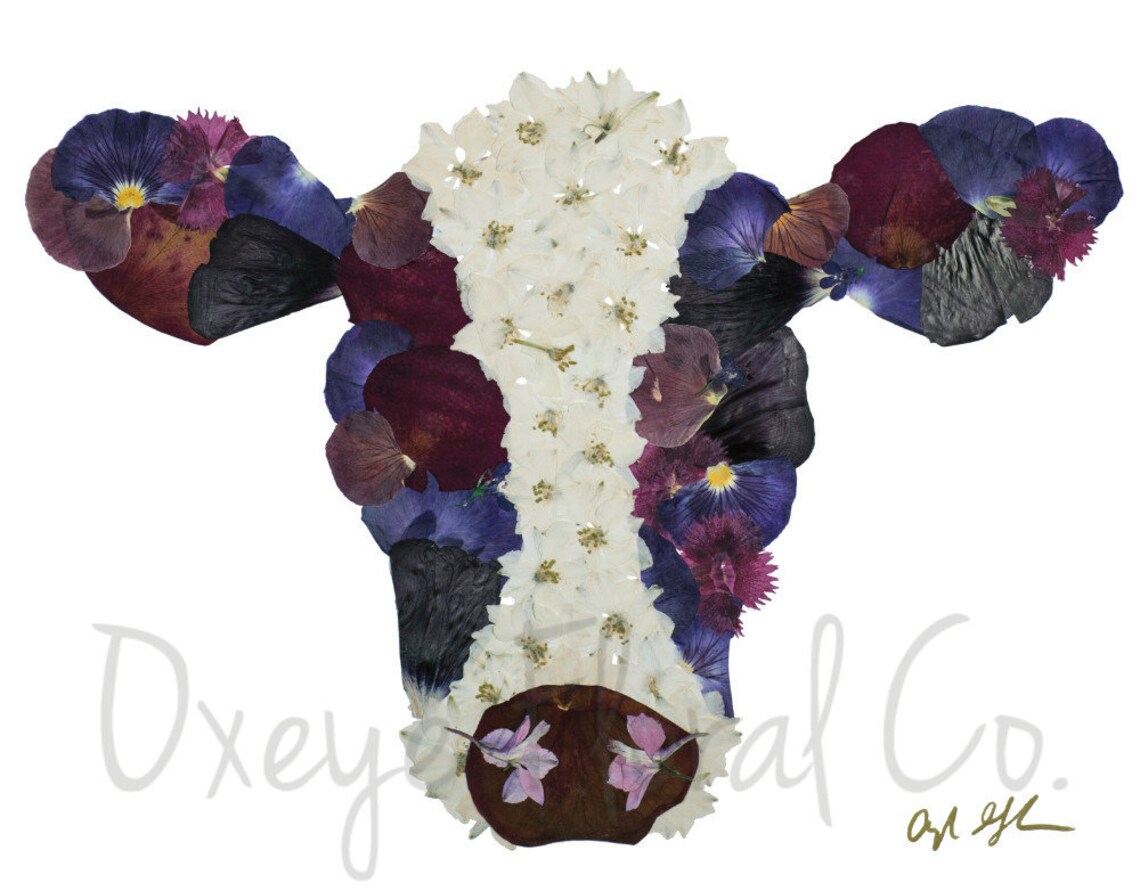 Pressed Flower Cow Print - Etsy
